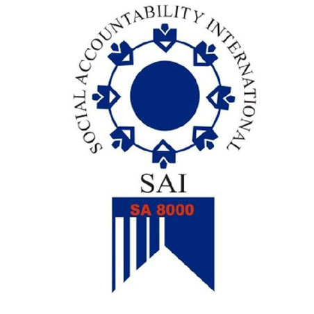 SA 8000 Indicators - Microtest - Automatic Test Equipment ...